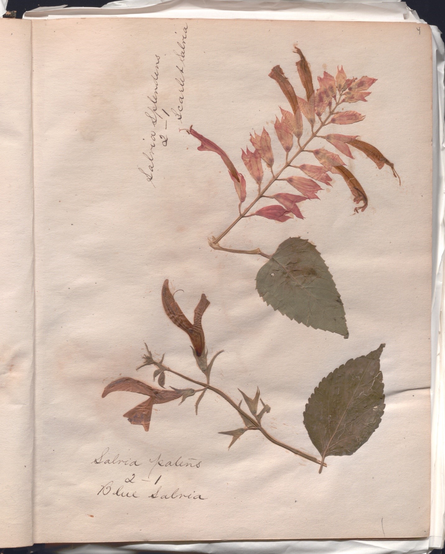 | Linking the past, to the present, for the future